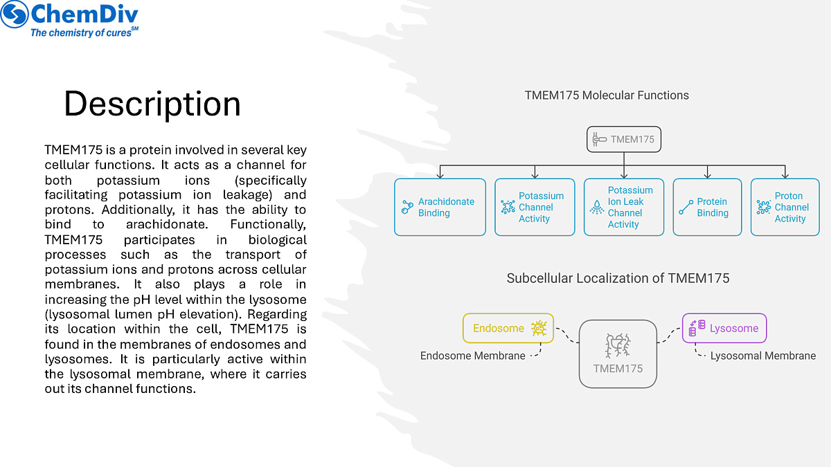 Transmembrane protein Library