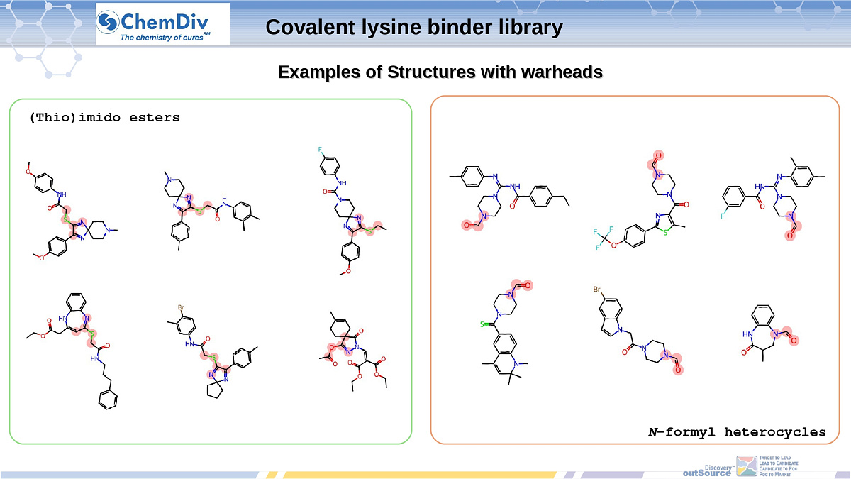 Covalent lysine binder library