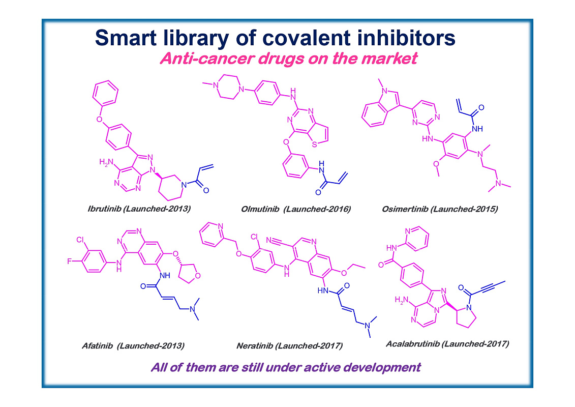 Covalent Fragments Smart Library